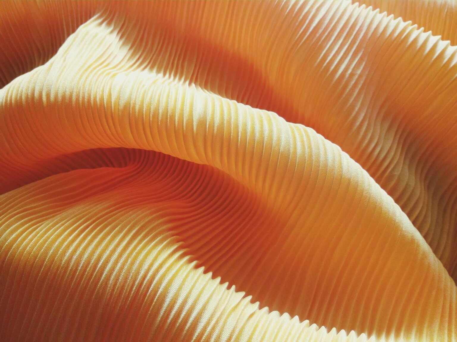 Great 29 Lightest Fabrics For Your Summer Clothing