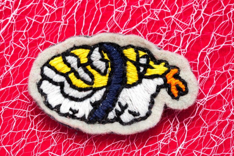 Learn About Patches and 9 Different Types of Patches