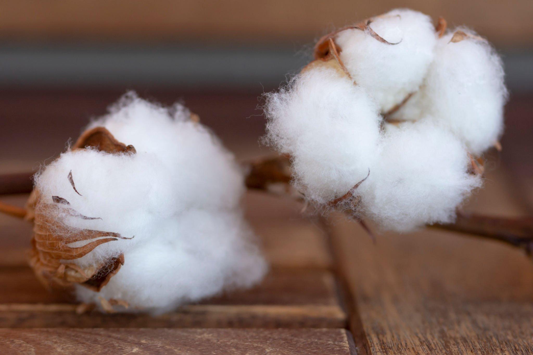 The 12 Different Types of Fabric: A Comprehensive Guide