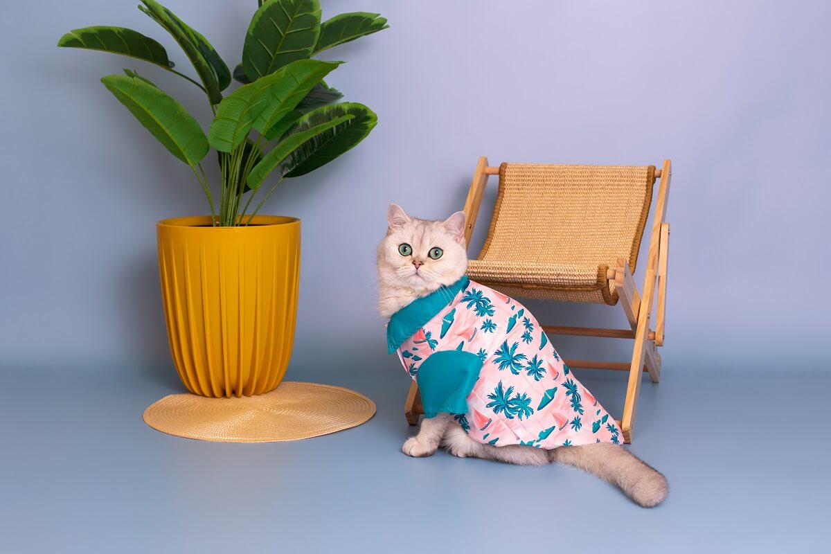 Trendy Pet Clothes Patterns for Pet Fashion Lovers